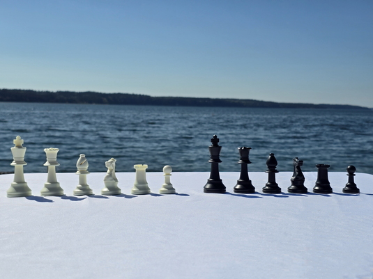 The Great Canadian Chess Company