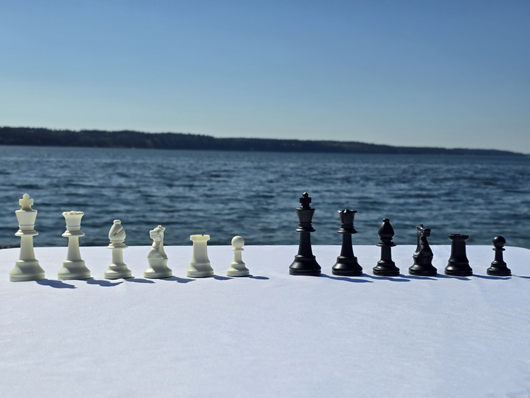 The Great Canadian Chess Company